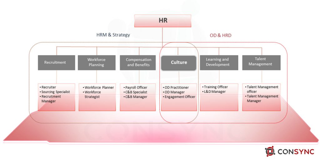 การมีที่ปรึกษา HR ช่วยพัฒนาธุรกิจและองค์กร เติบโตอย่างไร?
